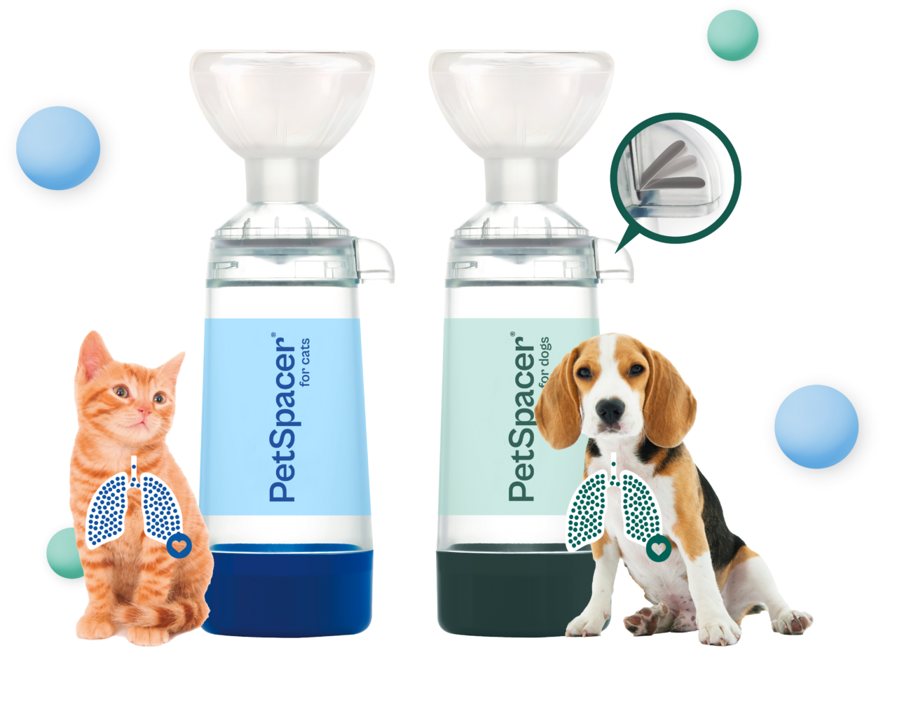 Drug delivery solutions - Reiner Medical